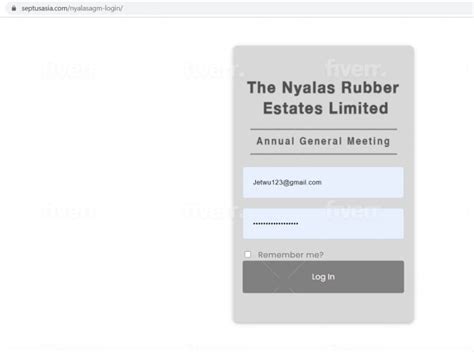 Develop A Custom Professional Wordpress Plugin By Machinep Fiverr