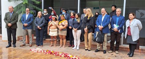 Las Especies De Elefantes Africanos Están Ahora En Peligro Y En Peligro