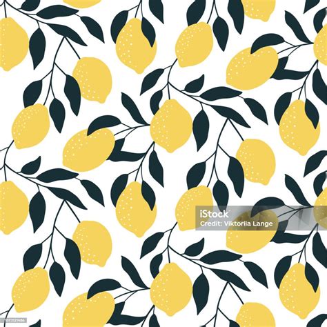 감귤 류와 완벽 한 패턴입니다 손으로 그린된 겹치는 배경 막 현대 레몬 배경 화면입니다 인쇄에 대 한 좋은 그림을 벡터 0명에
