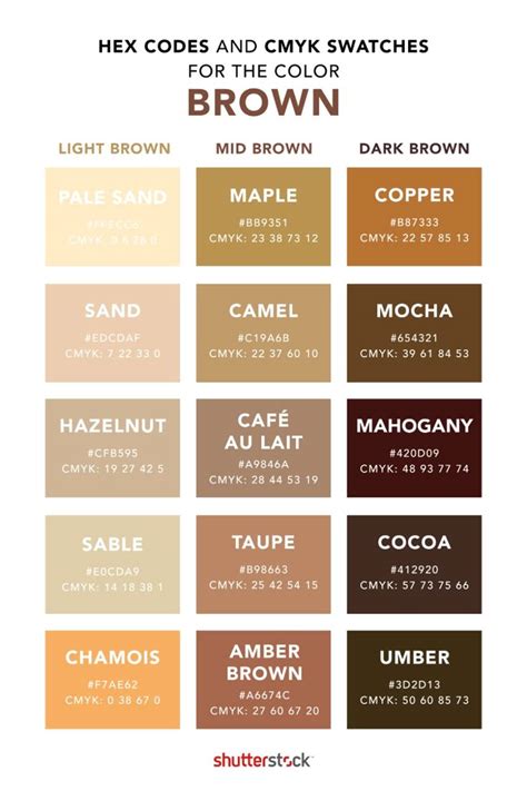The Color Chart For Different Shades Of Brown