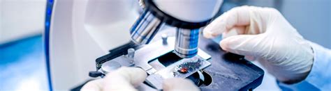 科学网海外优青山东大学微生物技术国家重点实验室诚邀您的加入