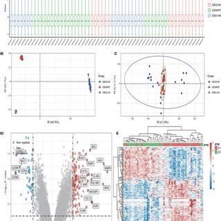 Volcano Plots And Heat Maps Of Differentially Expressed Genes In AMI