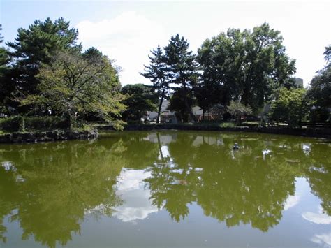 志賀公園アクセス営業時間料金情報 じゃらんnet