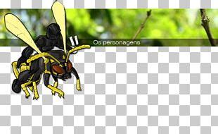 Ant Colony Optimization Algorithms Mathematical Optimization Png