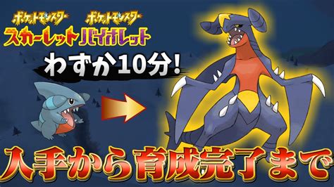 【ガブリアス 育成論 ポケモンsv】初心者でもこの動画を見ればランク対戦で使える育成済みガブリアスができます！ポケモンスカーレット