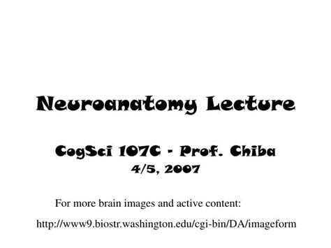 Ppt Neuroanatomy Lecture Powerpoint Presentation Free Download Id