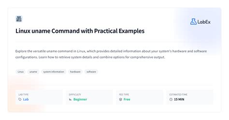 Linux Uname Command With Practical Examples Labex