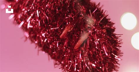 Red And White Fur Ball Ornament Photo Free Brown Image On Unsplash