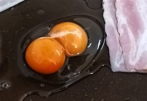 今朝、卵を割ったら黄身が2個！ 初めて見ました。 目玉焼きにして美味しくいただきました♪｜ゆに♪