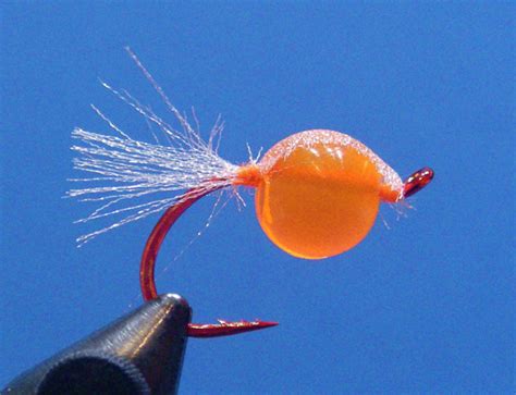Gary Borger Blog Archive Sperm And Egg Fly