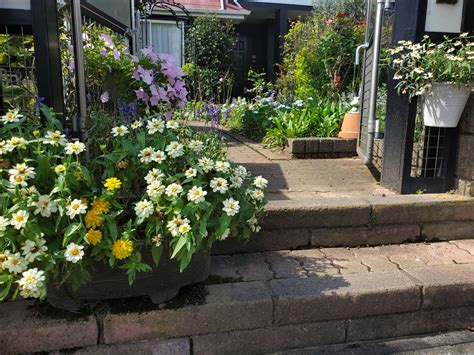 那須塩原市エステサロンrose Fairy Garden