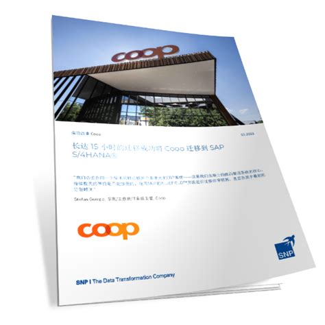 SAP系统升级 ECC升级S 4HANA SAP实施代理商 德国SNP中国官网