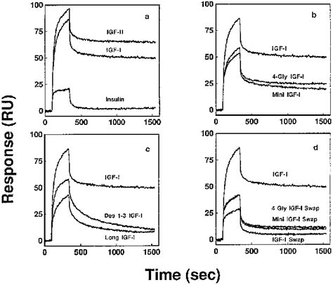Association And Dissociation Curves For Igf I Igf Ii Insulin And The