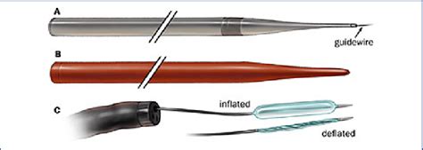 Esophageal Dilators A Savary B Maloney C Through The Scope Tts