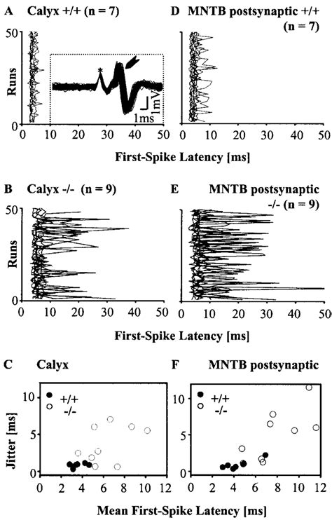 a f first spike latencies of presynaptic responses calyces a b download scientific