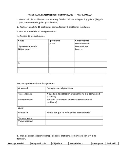 Pasos Para Realizar Paec Pdf