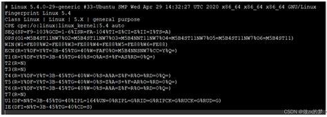 扫描技术的原理与应用(nmap使用)扫描技术的原理与应用实验报告截图 Csdn博客 扫描技术的原理与应用(nmap使用)扫描技术的原理与应用实验报告截图 Csdn博客