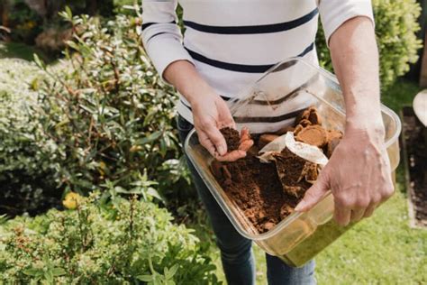 How To Use Coffee Grounds To Repel Gnats Expert Tips Pest Pointers