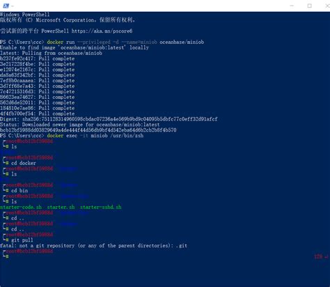 Docker Miniob Oceanbase Oceanbase