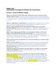 ENWC 201 FINAL EXAM REVIEW ENWC 201 Cumulative Concepts To Review For Final Exam Section 1