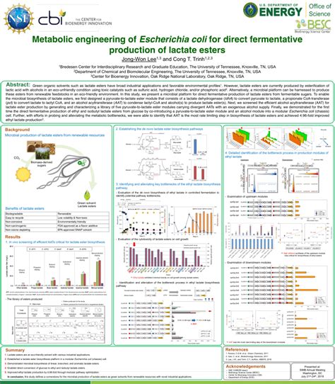 Pdf Metabolic Engineering Of Escherichia Coli For Direct Fermentative