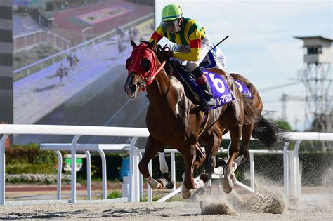 前年の結果｜3歳秋のチャンピオンシップ2022 地方競馬