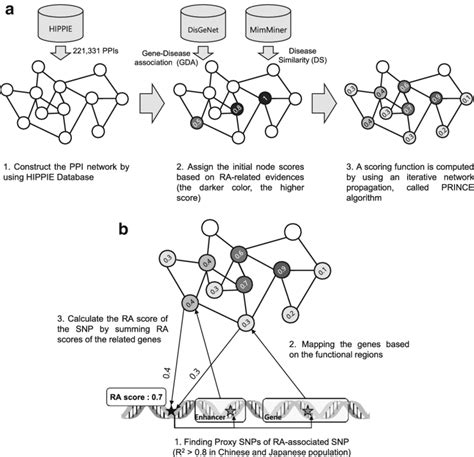 Post Gwas Analysis Construction Of An Ra Network A Mapping Download Scientific Diagram