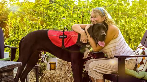 Multiple Sclerosis Health Topics Sharecare