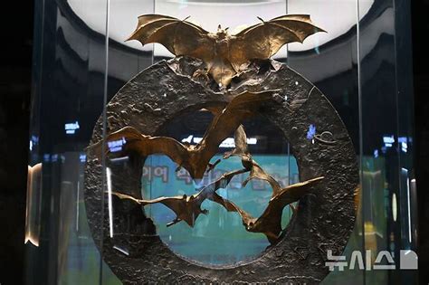 국제 금값 고공행진 속 함평 황금박쥐상 가격 10배 올라 오늘의 한 컷