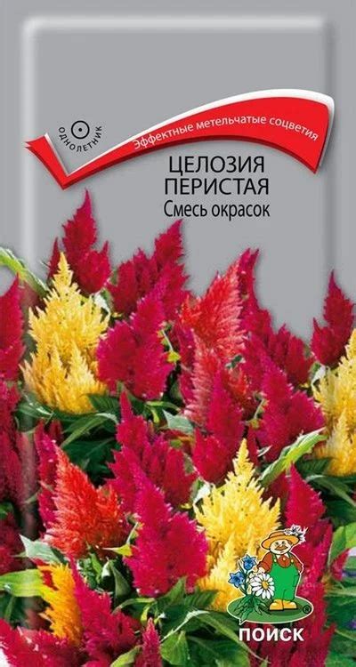 Семена Целозия перистая Смесь окрасок: описание сорта, фото - купить с ...