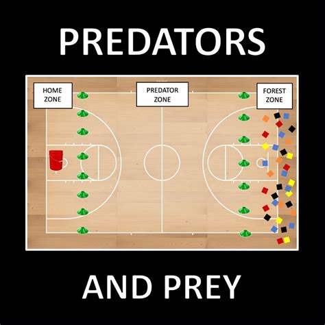 Elementary Gym Games 1 Activities For Physical Education Made By