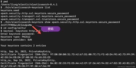 Logstash：如何连接到带有 访问的集群logstash Ssl 访问 Elasticsearch Csdn博客