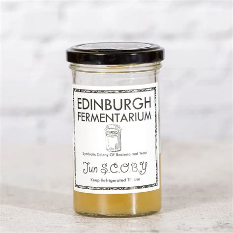 Jun Kombucha Scoby And Instructions — Edinburgh Fermentarium