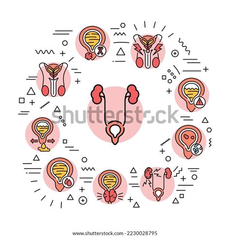 Urology Web Banner Infographics Linear Icons Stock Vector Royalty Free