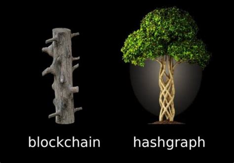 Hedera Hashgraph A Quick And Very Simple Explanation Txmq Solutions