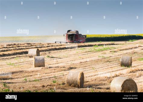 Harvesting Of Wheat Field And The Straw Bales Stock Photo Alamy