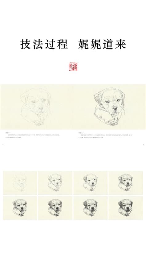 《犬绘笔记》狗狗针管笔素描合集插画绘本一本墨晗原创作品 站酷zcool