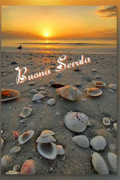 Buona Serata Immagini Bellissime Da Condividere Sui Social Artofit