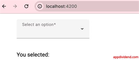 Angular Material Select Dropdown Step By Step Guide