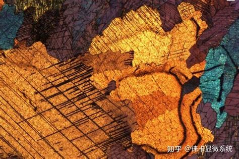 显微课堂 偏光显微镜原理 知乎