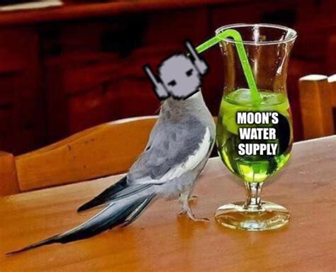 Rain World Lore In One Meme R Rainworld
