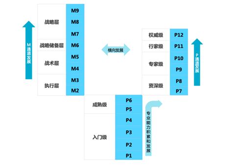 职级晋升管理制度 夜思呓语