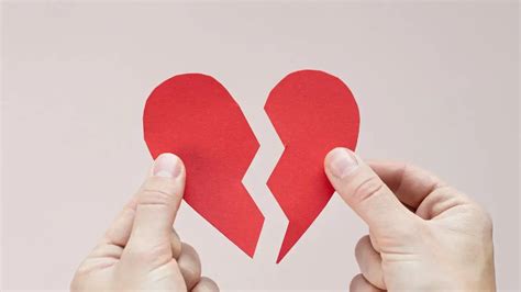 Sexual Dimorphism What Is And Examples Evidence Network