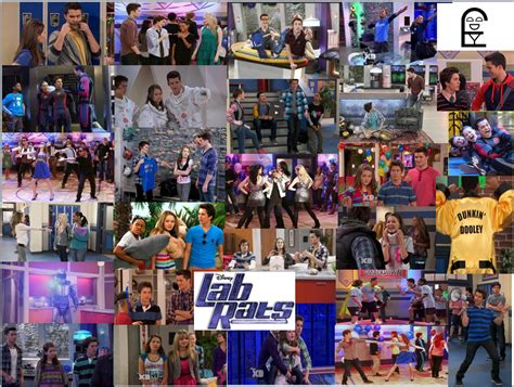Image Lab Rats Collagepng Kickin It Wiki Fandom Powered By Wikia