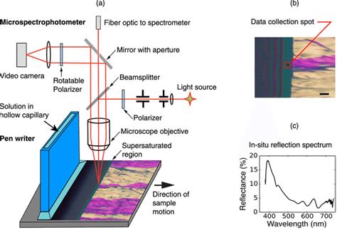 Schematic Of The Real Time Optical Reflectance And Microscope System Download Scientific