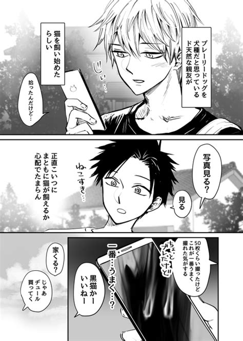ド天然な友人が猫を飼ったと言い張る 奈川トモ‎‎🍃おまタヌ⑧巻325 さんのマンガ ツイコミ仮