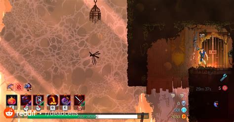 How Do You Flawless Mama Tick Just Asking For No Reason Whatsoever