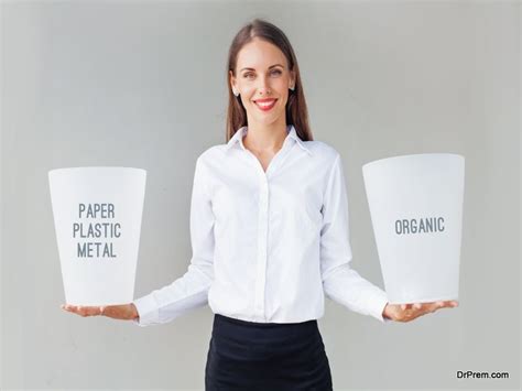 4 Ways To Start An Eco Friendly Initiative At Your Office Ecofriend