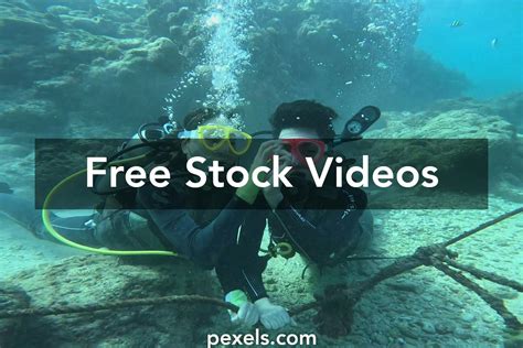 Multiple Partner Videos Download The Best Free 4k Stock Video Footage