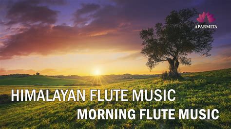 Morning Flute Music Himalayan Flute Music Meditation Music